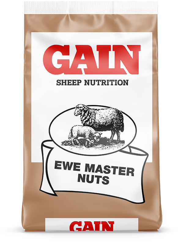 Ewemaster Nut 25kg - GAIN Agri