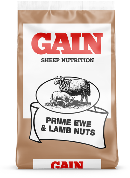 Prime Ewe and Lamb Nut 25kg - GAIN Agri
