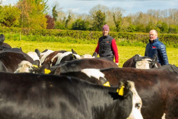 Super Beef Nuts 25kg/Bulk - GAIN Agri