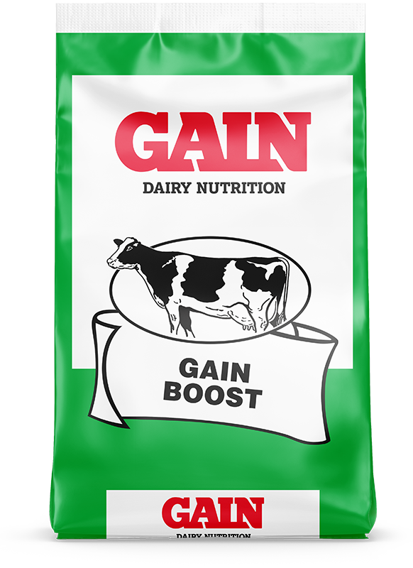 Boost Dairy 18 Nut - GAIN Agri