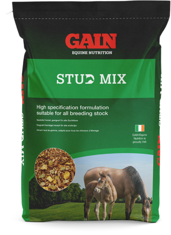 Stud Horse Feed – Breeding & Youngstock | GAIN Equine Nutrition