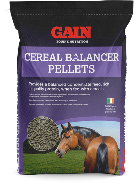 Specialised Horse Feed – Equine Nutrition | GAIN Equine Nutrition