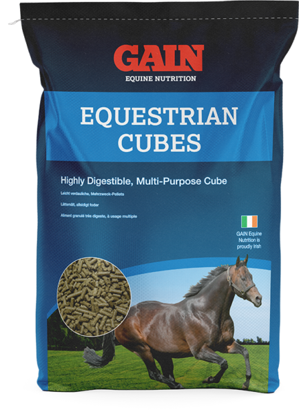 Products Archive - GAIN Equine