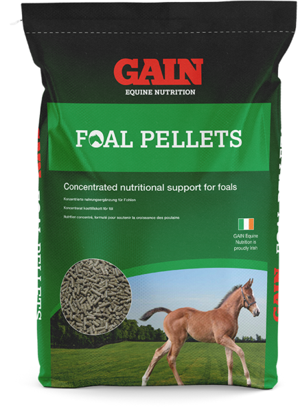 Foal Pellets - GAIN Equine