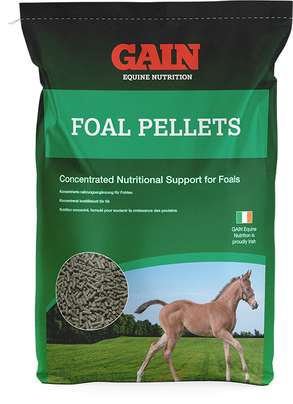 Foal Pellets - GAIN Equine