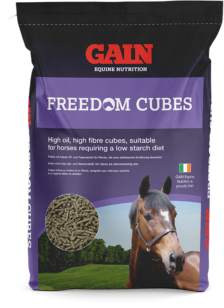 Stud Cubes - GAIN Equine