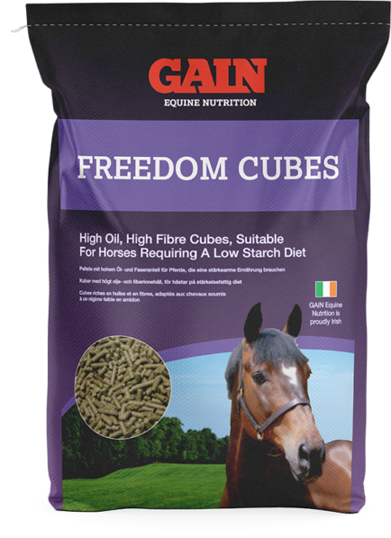 Products Archive - Page 3 of 3 - GAIN Equine