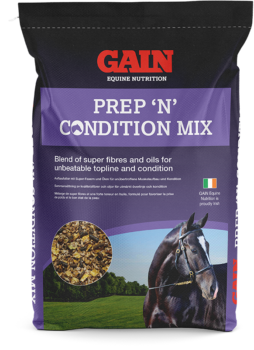 Equine Nutrition – Horse Feed | GAIN Equine Nutrition