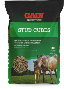 Equine Nutrition – Horse Feed | GAIN Equine Nutrition