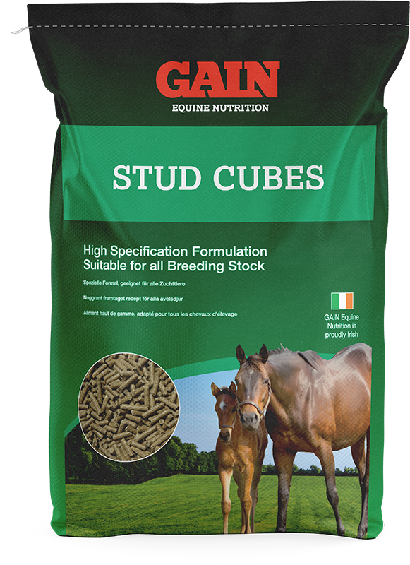 Stud Cubes - GAIN Equine