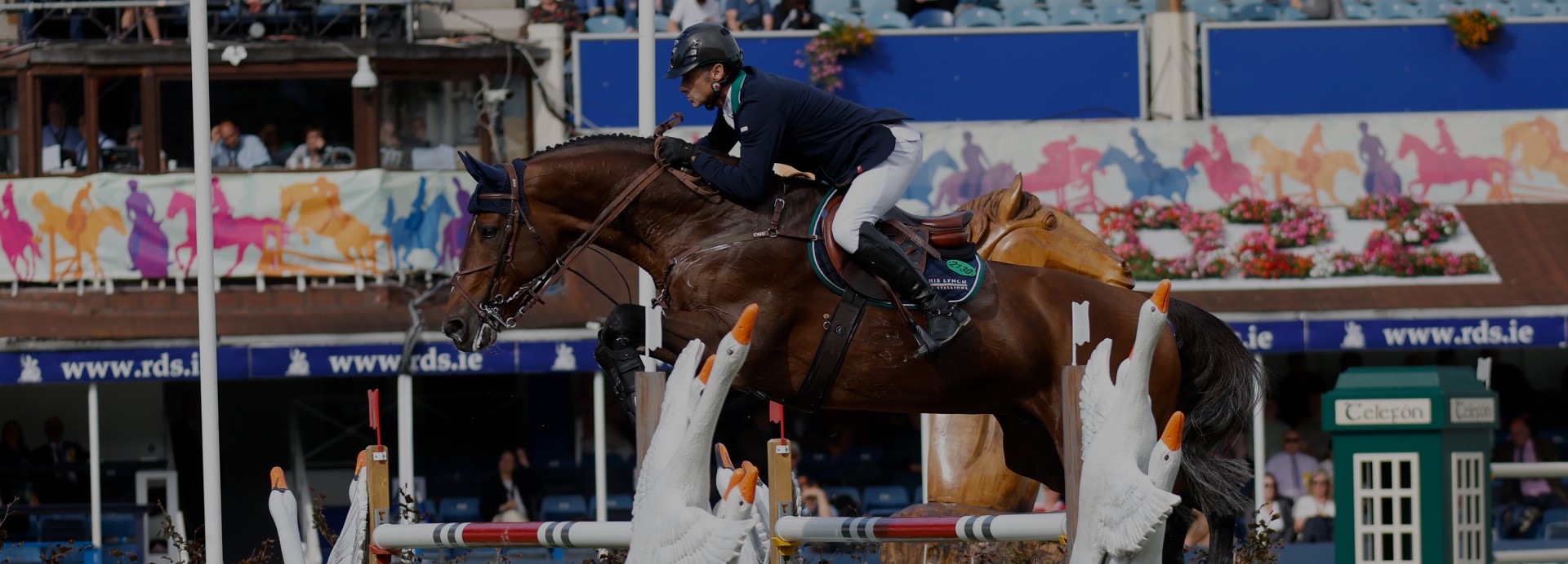Feeding for Performance - GAIN Equine