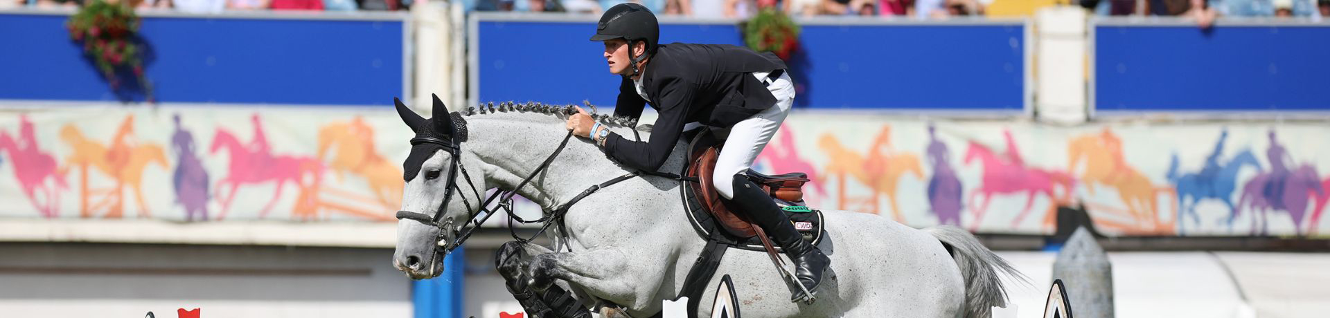 Feeding for Performance - GAIN Equine
