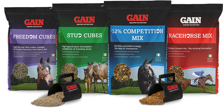 Equine Nutrition – Horse Feed | GAIN Equine Nutrition