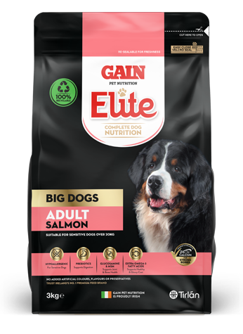 GAIN Elite Big Dogs Adult - Salmon - GAIN Pet
